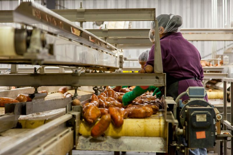 Georgia’s Food Processing Appeal: Where Agriculture Meets Economic ...
