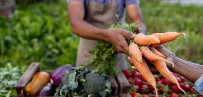 Here’s what new SNAP legislation could mean for recipients – and fresh ...